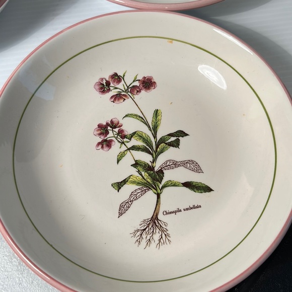 Primula | Dining | Primula Plate Made In Italy Salad Plates Pasta ...